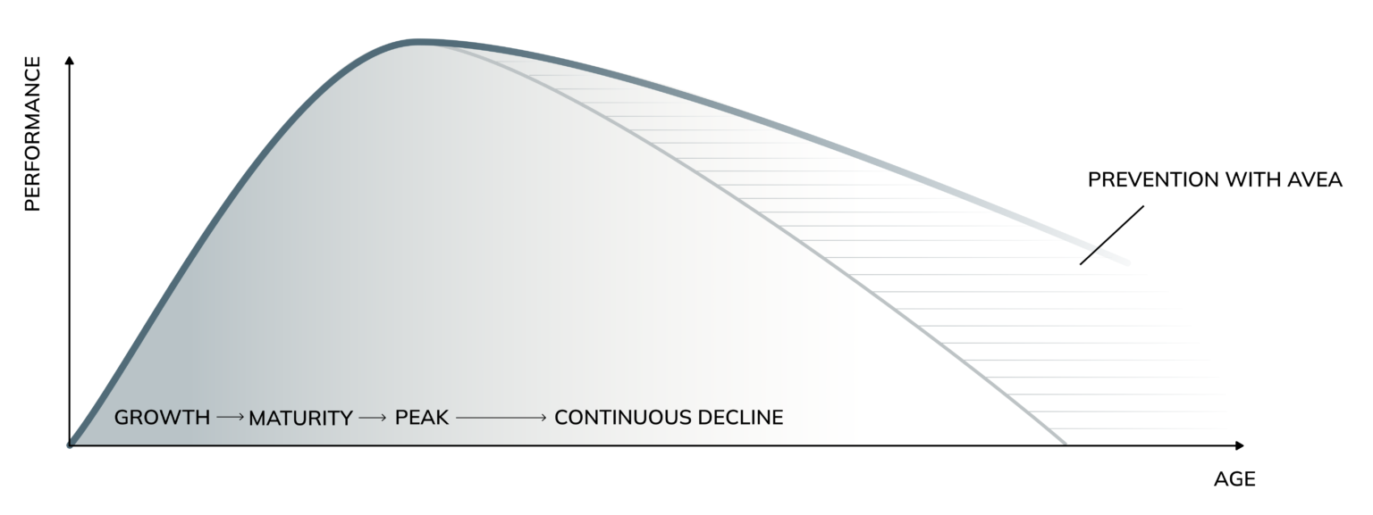 What is Healthy Longevity? - Avea Life Insights