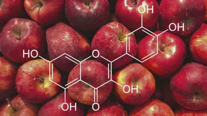 6 Quercetin benefits everybody needs to know