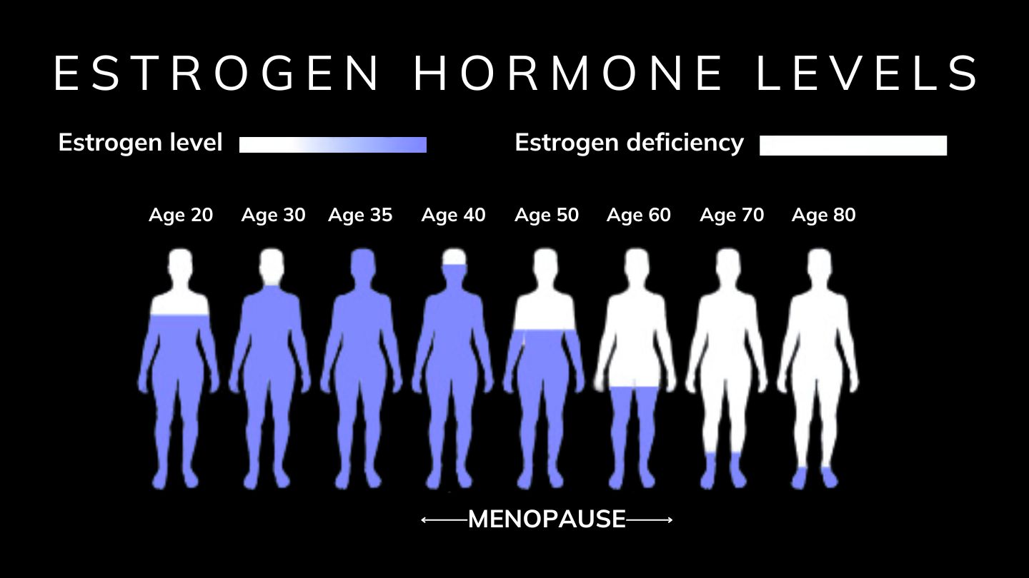 Learn to thrive with the menopause doctor: Dr. Mary Claire Haver