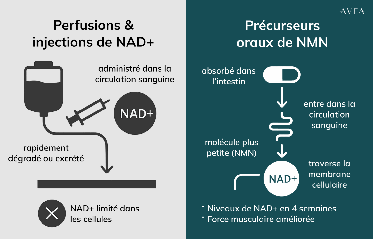 Injections ou compléments NAD+ : lequel choisir