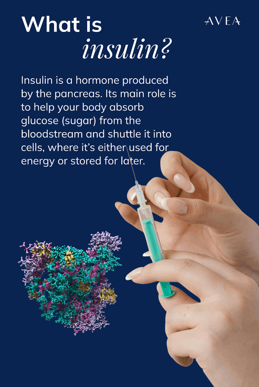 Insulin and Longevity: How Insulin Affects Longevity and Metabolic Function