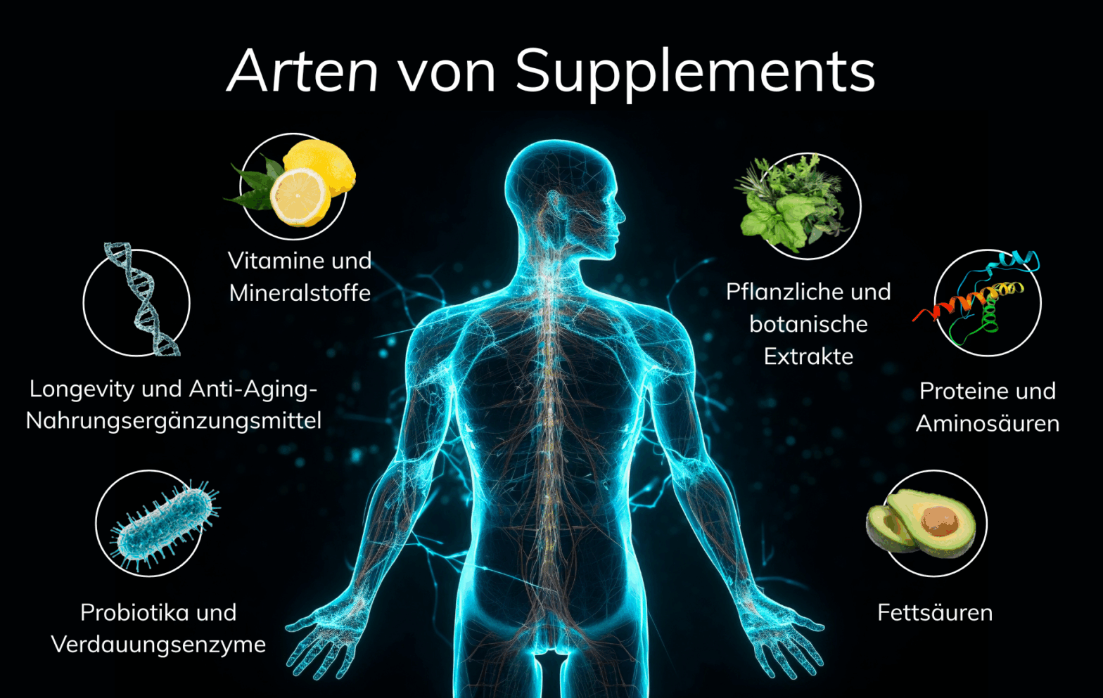 Longevity-Supplements erklärt – mehr als nur Ernährung